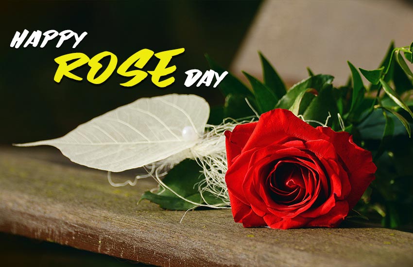 Happy Rose Day 2020: प्यार की गहराई से गुलाब के रंग का करें चुनाव ...