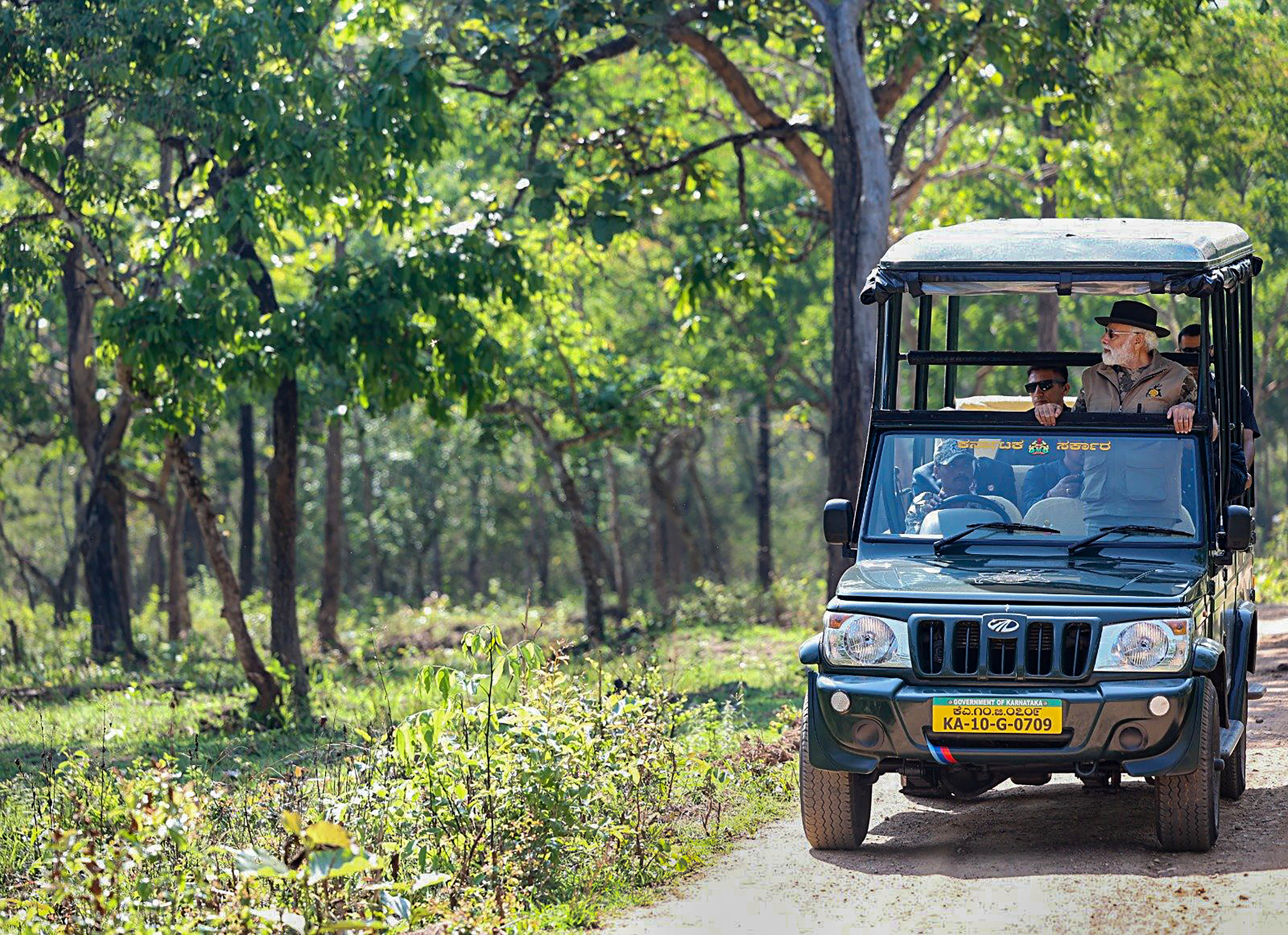 देश में बाघों की संख्या बढ़कर हुई 3167, PM मोदी ने जारी किए आंकड़े ...