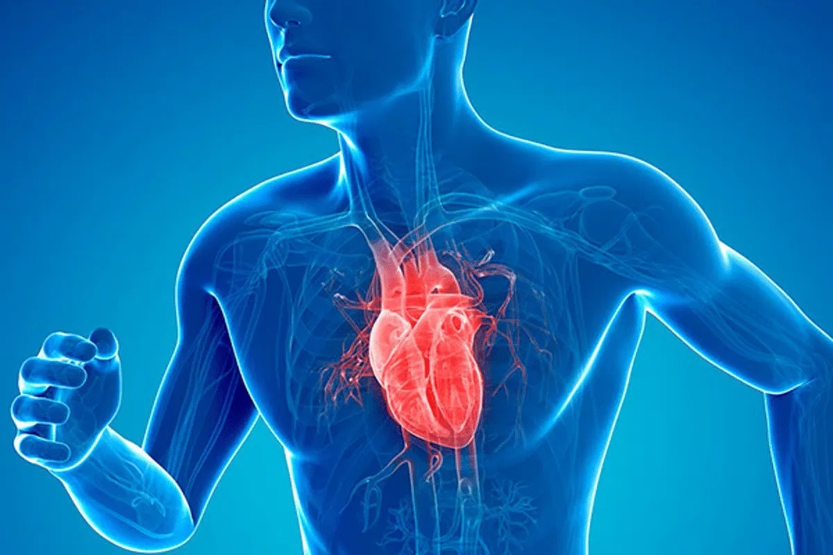 Heart Age: 30 की उम्र में 60 साल जैसा हो सकता है आपका दिल... डॉक्टरों ...