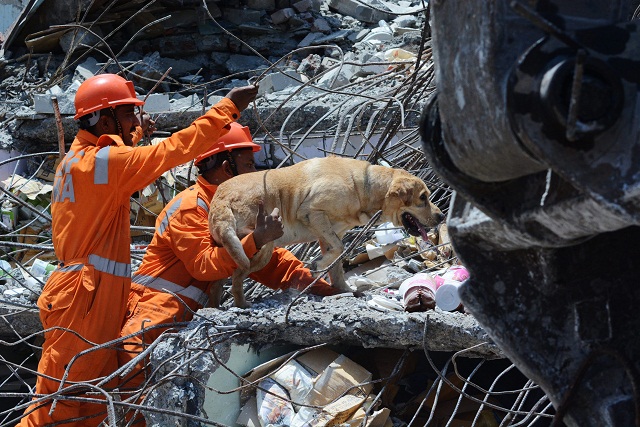 ठाणे के भिवंडी में गिरी दो मंजिला इमारत