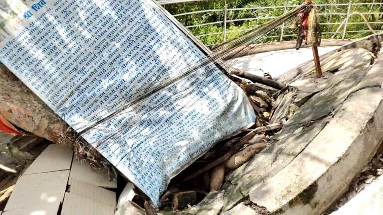मुलायम के निधन का गम बर्दाश्त नहीं कर सका पीपल का पेड़! पार्थिव शरीर के ...