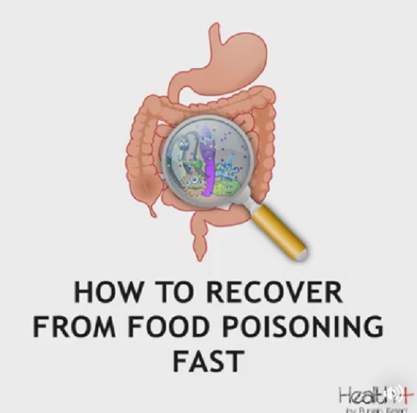 Food poisoning recovery timeline - roomkoti
