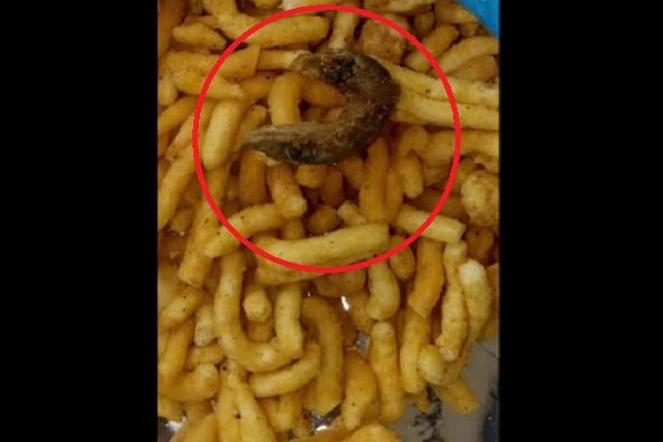 नमकीन के पैकेट में निकली तली हुई छिपकली, नमकीन खाने से युवक बीमार ...